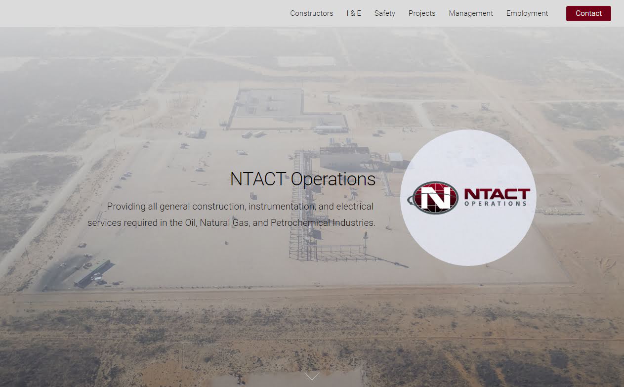 Bullfrog Software - Professional Information Technology Consulting