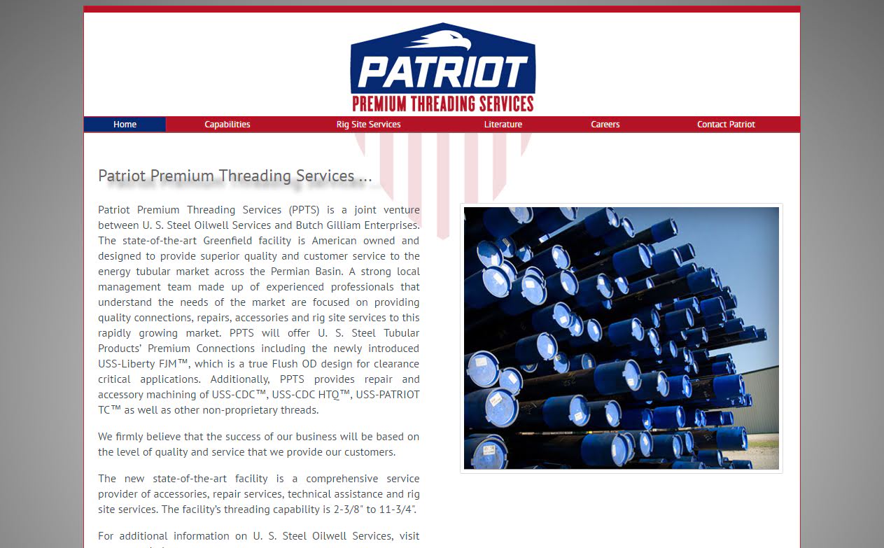 Bullfrog Software - Professional Information Technology Consulting